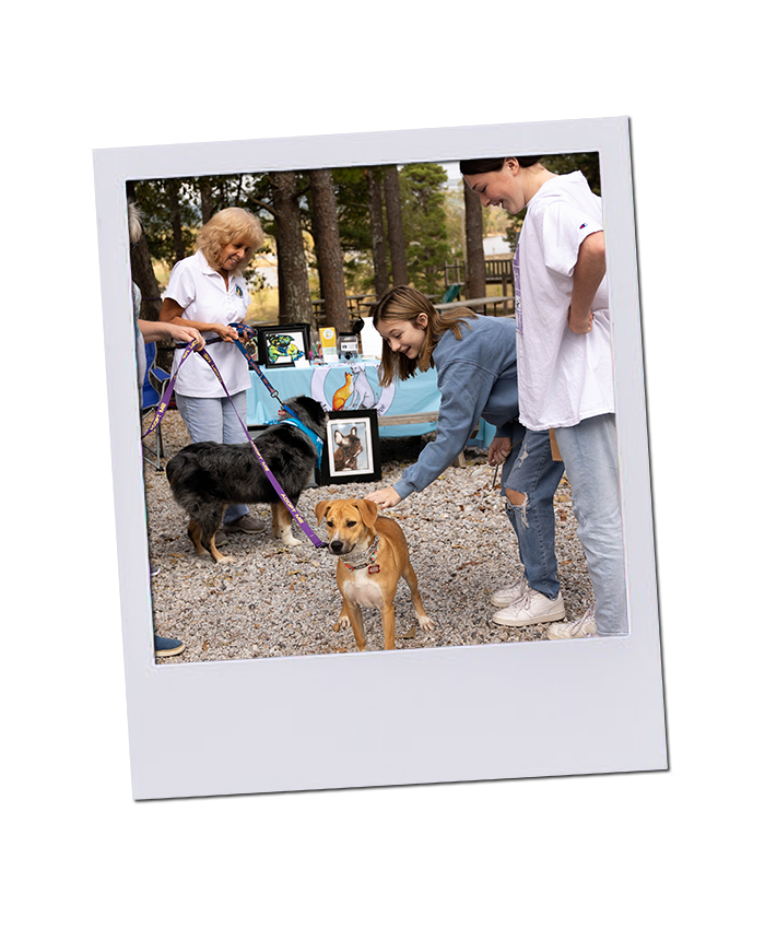 Brookhill Market - Brookhill Ranch Summer Camp