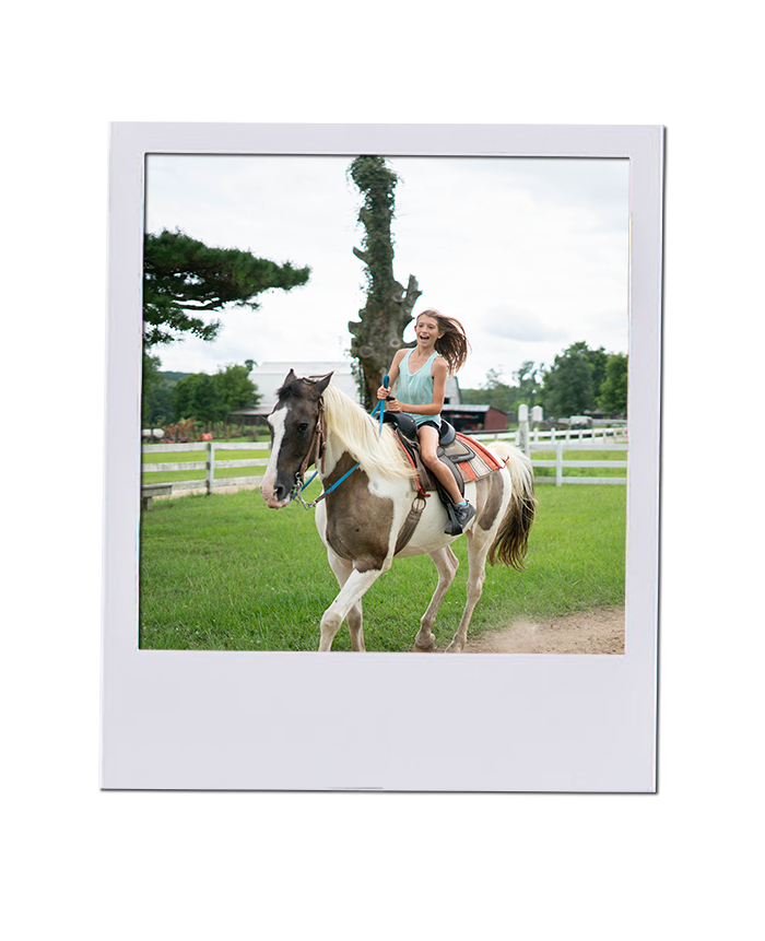 Brookhill Market - Brookhill Ranch Summer Camp