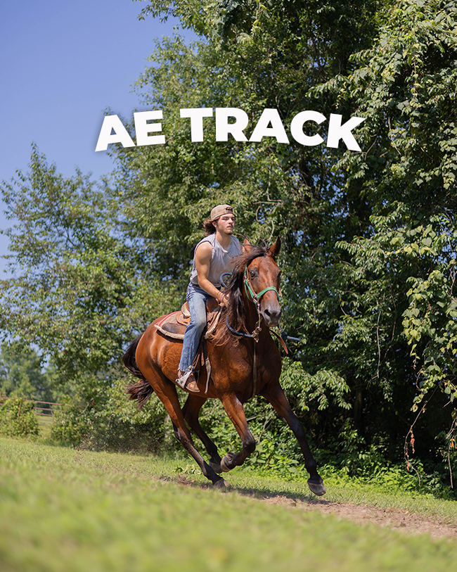 Camp - Brookhill Ranch Summer Camp