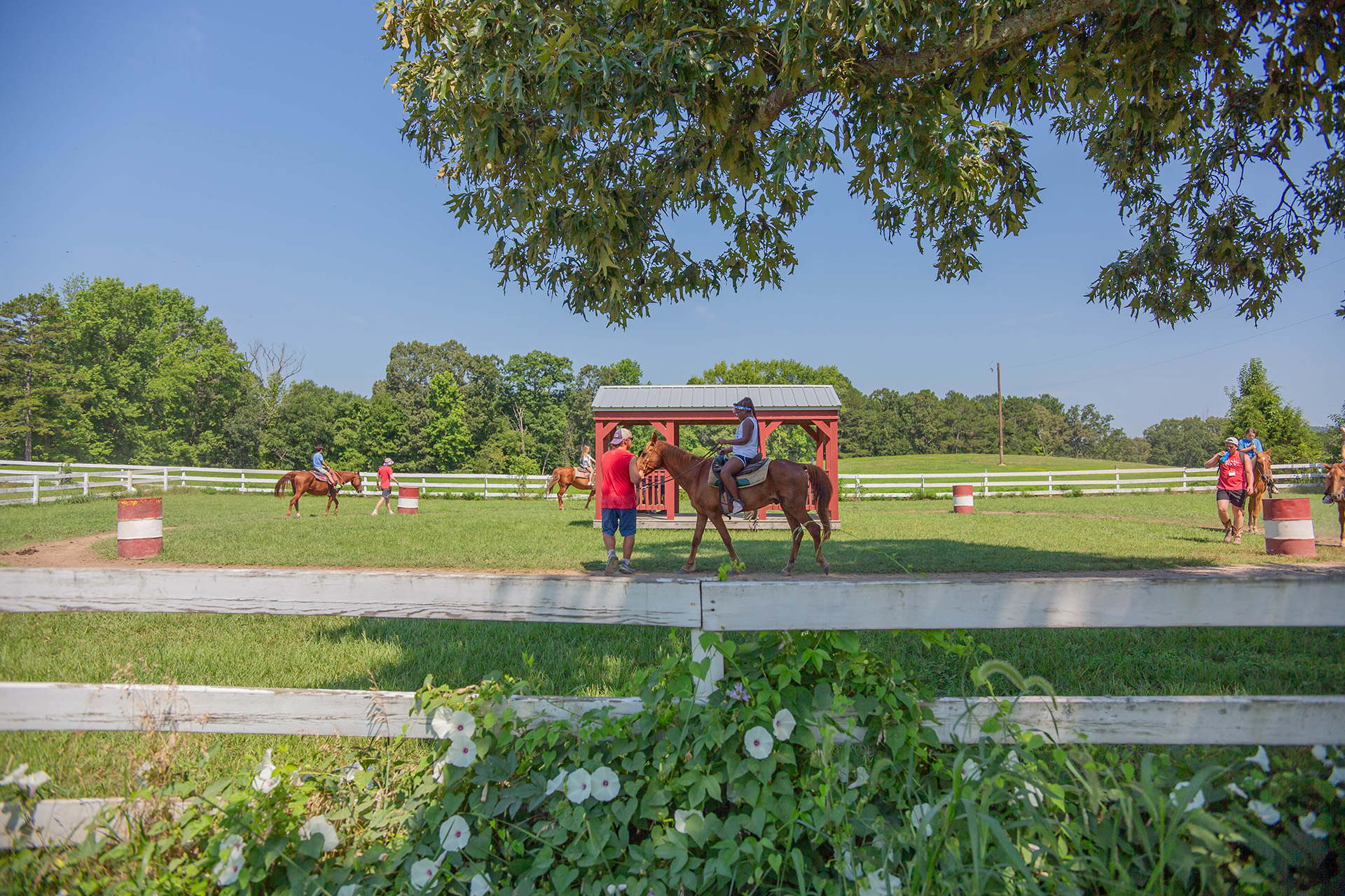 horseback - Brookhill Ranch Summer Camp